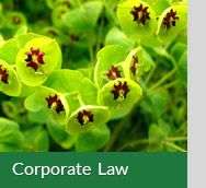 MacRobert Attorneys Pretoria | Attorneys and Legal | Phone 012 425 3 ...