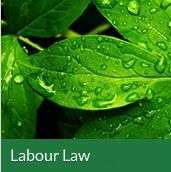 MacRobert Attorneys Pretoria | Attorneys and Legal | Phone 012 425 3 ...